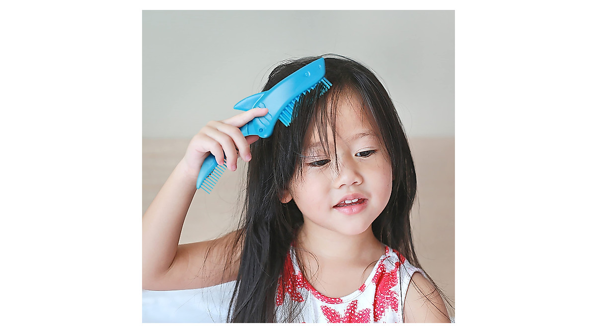 Genuine Fred Sharks Tooth Folding Comb | Tangle-Free Grooming