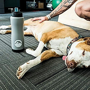 Epic Vostok | Vacuum Insulated Water Bottle with Filter | USA Made Filter | Dishwasher Safe | Stainless Steel | BPA Free Water Bottle | Removes 99.9% Tap Water Contaminants | Coldest | Simple | Modern