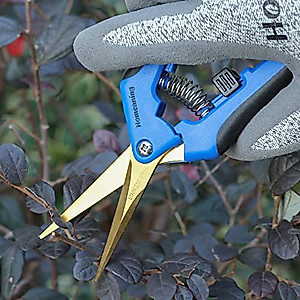 HOMEANING 3 Packs Garden Pruning Shears with Curved Blades, Garden Trimming Scissors, Gardening Hand Pruning Snips Titanium Coated Precision Bonsai Pruning Shears, Convenient Flower Cutters (Blue)