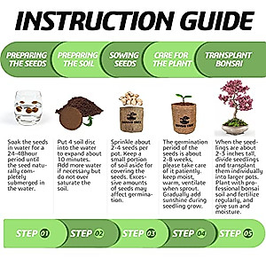 Meekear Bonsai Tree Kit with Complete Growing Starter Kit, Great Potted Growing DIY Gift for Adults