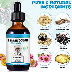 Kennel Cough for Cats, Kennel Cough Herbal Drops, Cats Cough Reliel Liquid Drop for Cats Allergy Relief, Soothes Cats Cough, Pet Health Supplies for Cat Cough Care, Chicken Flavor - 1 Pack / 2 Fl oz