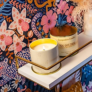 Companion Candles Pet Safe Wood Wick Candle - “You Got This!” Citrus & Tropical Fruits, Coconut Soy Wax Scented, Over 50 Hr Burn Time, Non-Toxic, Women-Owned, Made in USA (11.8 oz.)