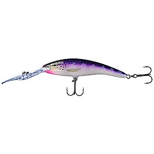 Rapala Deep Tail Dancer 11 Fishing lure, 4.375-Inch, Purpledescent