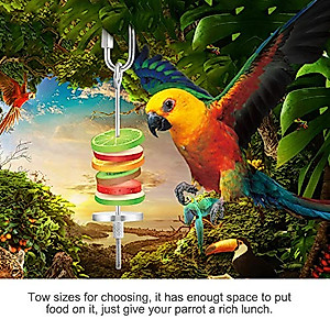 Yosoo Health Gear Bird Skewer, Bird Food Holder, Stainless Steel Fruit Vegetable Stick Holder Foraging Toy, Hanging Bird Cage Toy for Parakeet Cockatiel Conure Lovebirds Cockatoo (S)