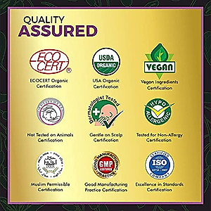 Indus Valley Natural Organic Hair Color with Spa for Hair Conditioning, Dye Up to 20% Grey Coverage, Ecocert, Vegan, USDA Organic, Certified –Soft Black (100g+10ml)