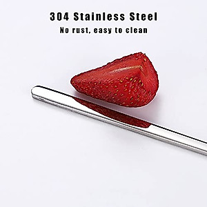 WOLEDOE 2Pcs Reptile Powder Fruit Mixing Stirring Food Feeding Spoon fit Crested Gecko Gargoyle Bearded Dragon