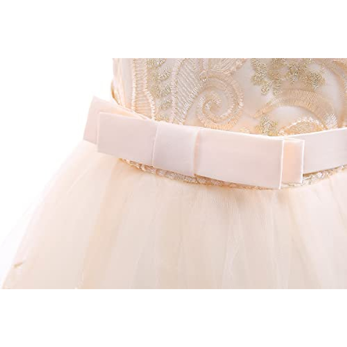 LENEFU Baby Girl Dress Kids Formal Flower Lace Embroidery,Sleeveless Princess Gown for Party Wedding Pageant(Champagne130)