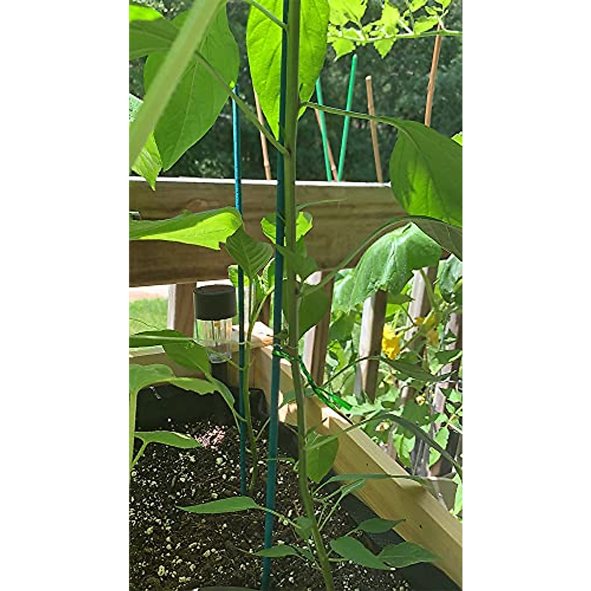 Garden Wood Stakes,HOUNANG Green Bamboo Plant Support Stakes,Flower/Orchid/Tomato Wooden Stakes for Gardening,Plant Stakes and Supports for Potted Plants - 25Pcs 18 Inches