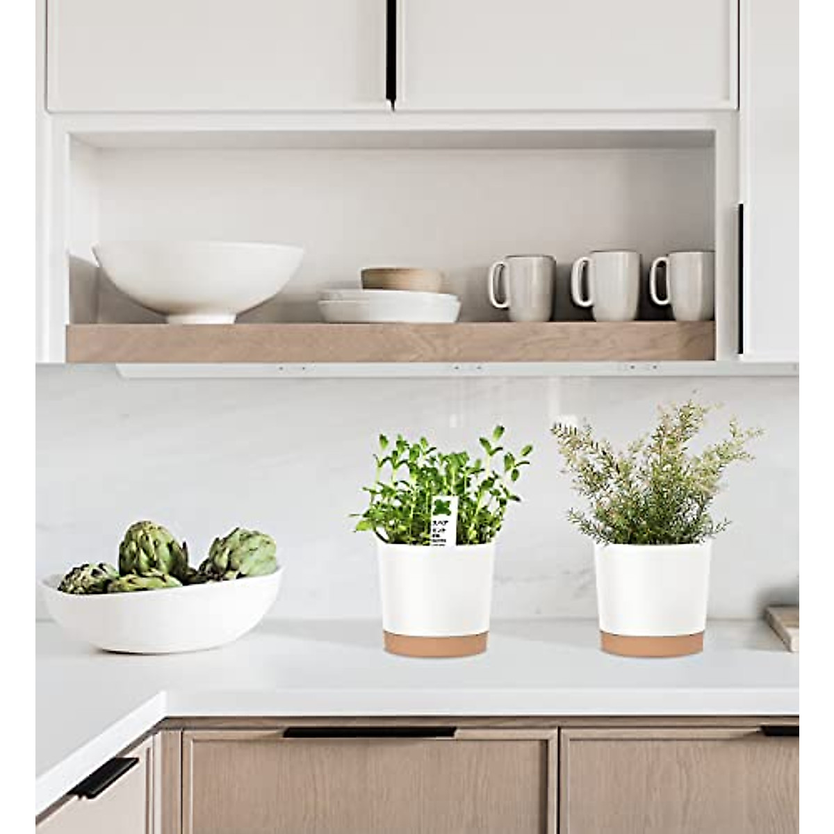 Plastic Plant Pots,6.5 inch Flower Planter Pots with Trays,Modern Stylish Indoor & Outdoor Garden Pots for All House Plants,Flowers,Herbs,Succulents (White, 6)