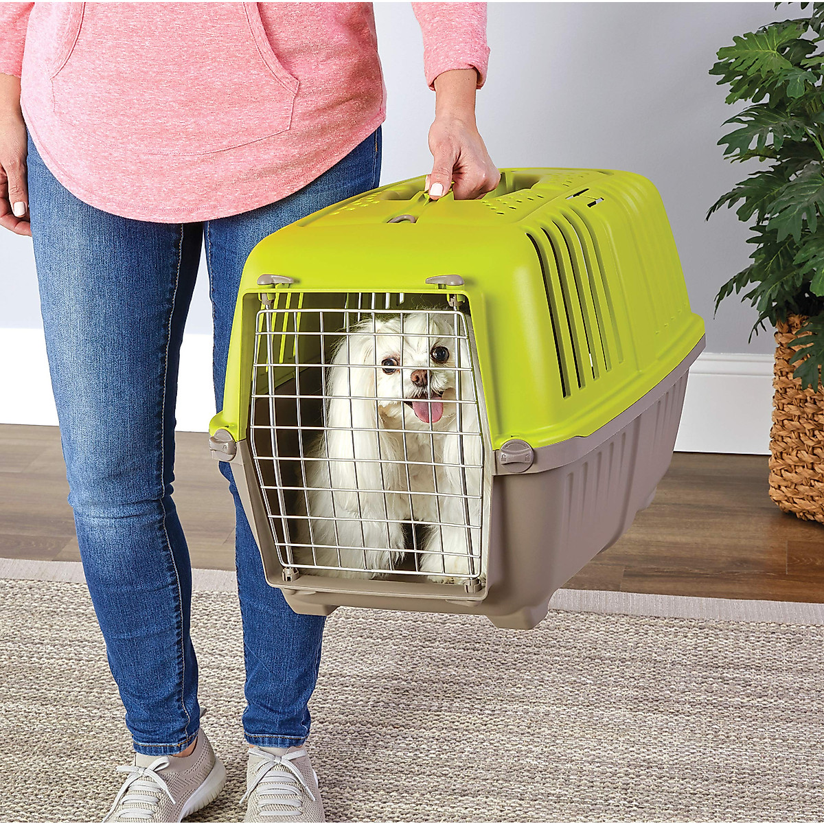MidWest Homes for Pets Spree Travel Pet Carrier, Dog Carrier Features Easy Assembly and Not The Tedious Nut & Bolt Assembly of Competitors, Green, 24-Inch Small Dog Breeds (1424SPG)