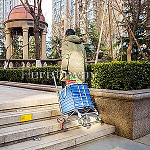 Foldable Jumbo Shopping Cart for Groceries Portable|Grocery Cart with Wheels Folding Lightweight Stair Climbing Cart with Rolling Swivel Wheels and Removable Canvas Removable Bag for Mom,Dad,Grandma