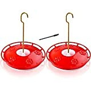 eWonLife Window Bird Feeders for Outside, with Strong Suction Cups for Outdoors, Removable Tray with 4 Compartments, Easy Clean and Fill, Clear Acrylic Bird Feeders(5 Inch)