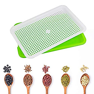 EBaokuup 10Pcs Seed Sprouter Tray with Drain Holes - BPA Free Seed Garden Plant Germination Propagation Trays, Soil-Free Wheatgrass Tray Sprouter Microgreens Growing Kit with Germinating Paper
