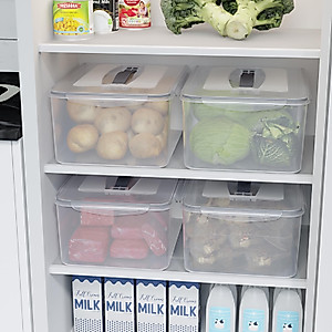 Tstorage 15 Quarts Rectangular Fresh Food Storage Containers, Clear Fresh Food Storage Box with Lid and Handle, Plastic Airtight Freezer Container, 4 Packs