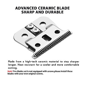 2 Pack Blades for Andis T Outliner, Andis GTX Replacement Blade, T Liner Clipper and Trimmer Blade (Silver Steel T Blade + Silver Steel Blade)