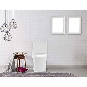 Fine Fixtures Dual-Flush Elongated One-Piece Toilet with High Efficiency Flush