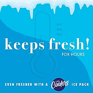 Fit+Fresh Douglas Adult Insulated Lunch Bag women love,Lunchbox or Lunch Tote,Cute Small Lunch Box For Women,Lunch box Men,Lunch Bags Women,Insulated Lunch Box,Lunch Boxes,Adult Lunch,Chestnut(Large)