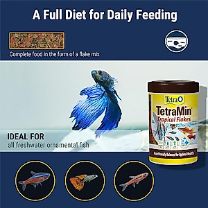 Tetra TetraMin Tropical Flakes 3.53 Ounces, Nutritionally Balanced Fish Food, Model Number: 16204