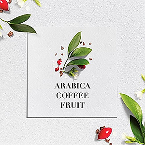 Herbal Essences bio:renew Arabica Coffee Fruit Volumizing Conditioner, 13.5 fl oz