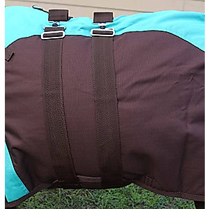 CHALLENGER 48" 1200D Miniature Weanling Donkey Pony Horse Foal Winter Blanket 51976TL