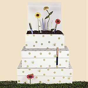 Kate Spade New York Decorative Storage Boxes with Lids, 3 Pack Sturdy Organizer Storage Bins, Includes Small Medium Large Pink Nesting Boxes with Magnetic Closure, Gold Dot with Script