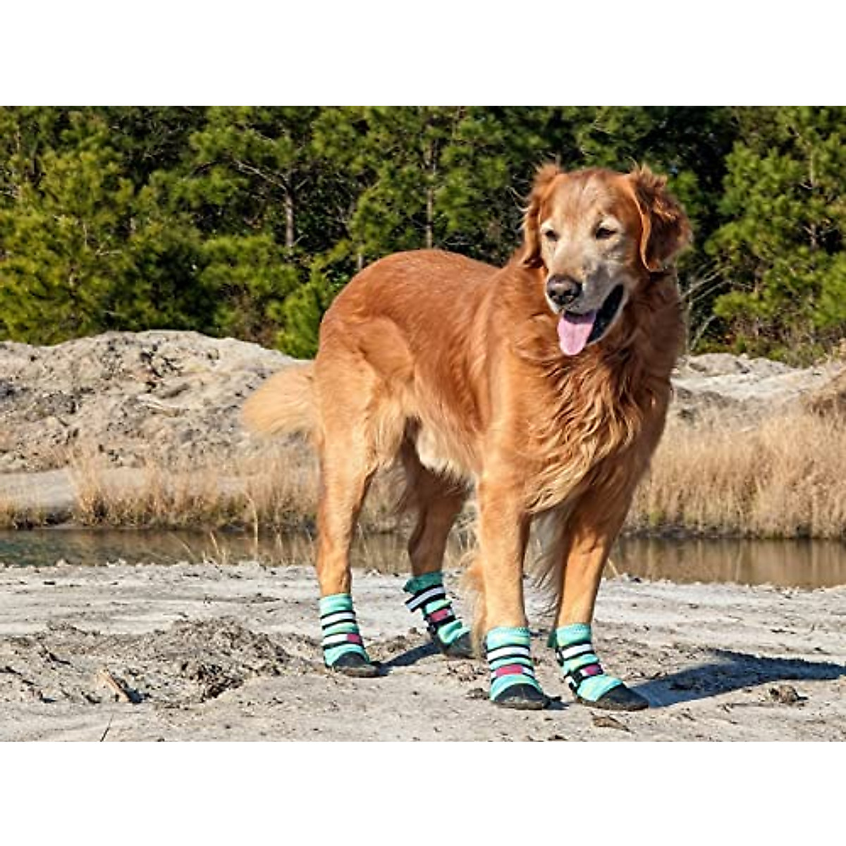 All Weather Neoprene Paw Protector Dog Boots with Reflective Straps in 5 Sizes! (Turquoise Large)