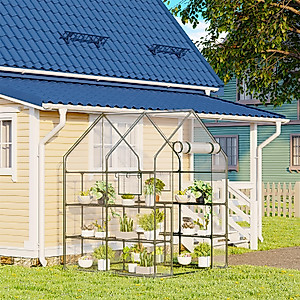 CEBOLAN Walk in Greenhouse, 56x56x77 Waterproof Green Houses for Outside, Portable Greenhouses for Outdoors with Roll-Up Zipper, Greenhouse for Indoors - 12 Shelves Walk-in(6.4x4.7x4.7FT)