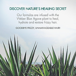 Agave Healing Oil - Smoothing Conditioner - Eliminates Frizz - 8.5 fl oz