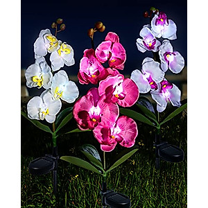 3 Pack Solar Garden Lights, Newest Version Solar Lights Outdoor Decorative, Flower Lights for Yard, Garden Decoration, Christmas Decoration Outdoor Yard