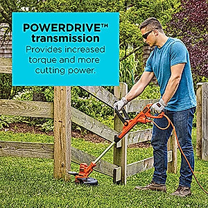 BLACK+DECKER String Trimmer, Electric, 14-Inch (BESTE620FF)