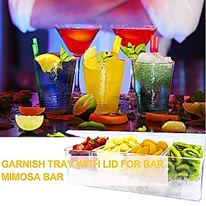 Yatmung Chilled Condiment Server with Lid, Serving Platter and Tray for Parties on Ice Party Tray for Serving Food Fruit Tray for Bar Condiment Tray with Lid