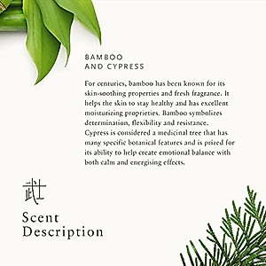 RITUALS Samurai Sport Foaming Shower Gel for Men - Sport Body Wash with Bamboo Extract & Cypress - 6.7 Fl Oz