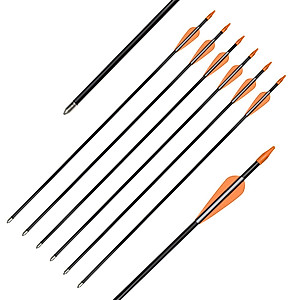 ELONG Fiberglass Arrows Archery 26 Inch Target Shooting Practice Safetyglass Recurve Bows Suitable for Youth Children Woman Beginner (6 pcs)