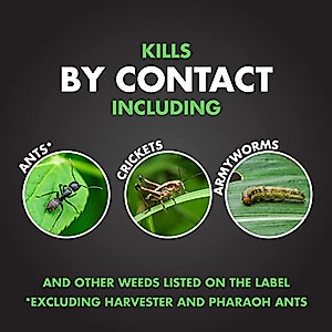 Garden SafeGarden Safe Brand Slug and Snail Bait, 2 Pounds & Spectracide Triazicide Insect Killer for Lawns Granules, 10 Pounds, Kills Lawn-Damaging InsectsSpectracide