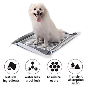 kathson Rabbit Pee Pads Disposable Cage Liners Super Absorbent Black Carbon Odor-Control Bunny Training Pad with Quick-Dry Surface for Bunny Guinea Pig Kitten Hedgehog Small Animals (100 pcs Gray)