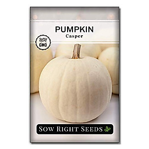 Sow Right Seeds - Casper Pumpkin Seed for Planting - Non-GMO Heirloom Packets with Instructions to Plant a Home Vegetable Garden (2)