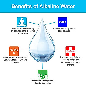 APEX Countertop Drinking Water Filter - Alkaline (White)