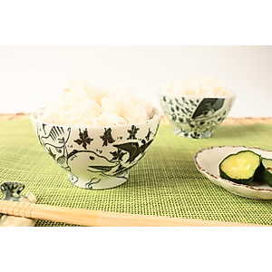 Mino ware Japanese Ceramics Rice Bowl Various Dinosaur Matte Finish made in Japan (Japan Import) GBC002