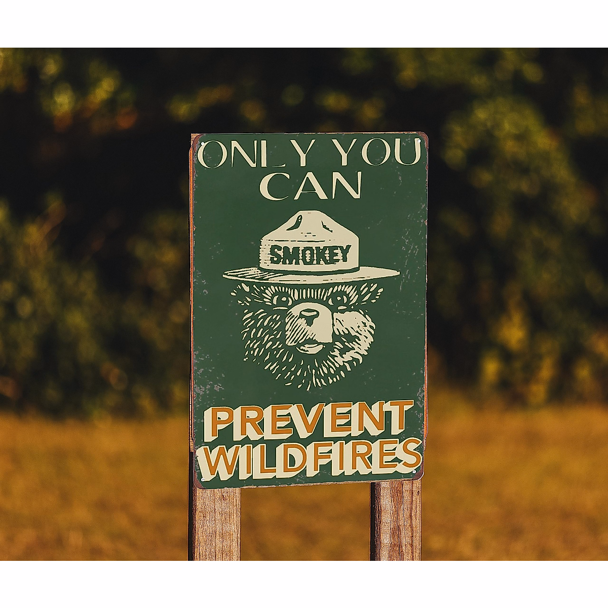 Smokey Bear Only You Can Prevent Wildfires Sign Metal Tin Sign Home Outdoor Forest Wildfire Prevent Sign Campaign Fire Awareness Poster 12x8inch