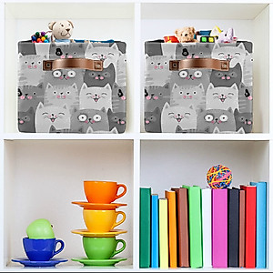 DXTKWL Animal Cat Kitten Pattern Storage Basket Bin with Handles, Large Rectangular Storage Cube Collapsible Storage Box Organizer Decor for Kids Toys Nursery Shelf Closet Bathroom Basket 1 Pack