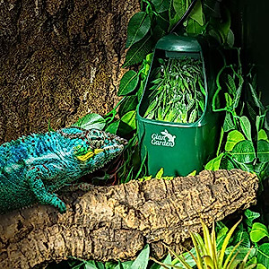 Giangarden Reptile Water Dispenser Automatic System Circulation Chameleon Drinking Fountain Water Dripper for Lizard, Snake, Gecko, Tortoise, Bearded Dragon with 3 Replaceable Carbon Pads(800ml/27oz)
