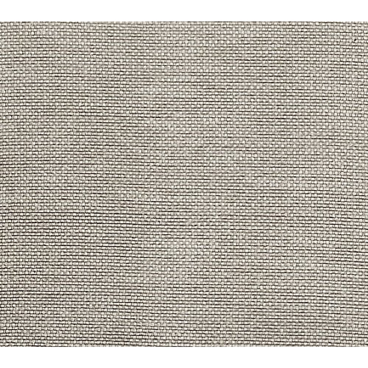 Homelegance Savion Contemporary Side Chair with Rolled Back and Nailheads, Espresso