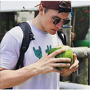 GDMINLO 100 Kraft Biodegradable Paper Straws co-Friendly Biodegradable Drinking Straws Bulk for Party Supplies, Bridal/Baby Shower, Birthday, Mixed Drinks, Weddings, Restaurant, Food Service