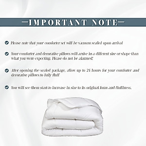 Elegant Comfort 12-Piece Bed-in-a-Bag, Isabella Pleated Ruched Ruffled Comforter Set, 6-Piece Sheet Set Featuring Smart Pockets, Matching Decorative Pillows, All Season Bedding, King, Dusty Rose