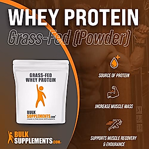 BULKSUPPLEMENTS.COM Grass Fed Whey Protein Powder - Unflavored Whey Protein Powder - Protein Supplement - Pure Protein Powder - Protein Powder Without Artificial Sweeteners (100 Grams - 3.5 oz)