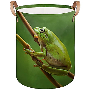 Tree Frog Collapsible Laundry Basket Large Laundry Hamper Waterproof Foldable Storage Bins Laundry Basket with Leather Handles Clothes Nursery Hampers for Bathroom Bedroom Toy Organizer