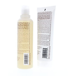Aveda Scalp Benefits Balancing Shampoo 8.5 oz and Conditioner 6.7 oz Duo, 2 Piece Set