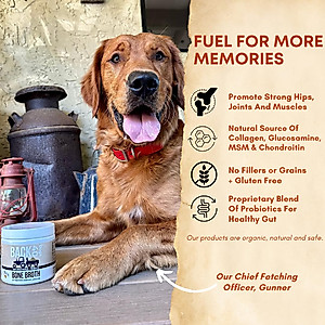 Back 40 Dogs Grass-Fed Beef Bone Broth Powder for Dogs with Probiotics, Chondroitin & Glucosamine – Supports Gut Health, Joint & Immune System – Human Grade Dog Food Toppers for Picky Eaters, 6.4oz