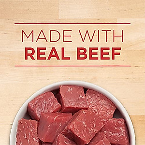 Purina ONE Tender Cuts in Gravy Beef and Barley Entree in Wet Dog Food Gravy - (12) 13 oz. Cans