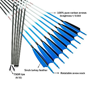 Linkboy Archery Carbon Arrows Hunting Practice Target Arrows Fluorescent with Removable Tip for Compound Recurve Long Bows, Spine 250 300 340 400 500 600 700 800, Pack of 6/12PCS